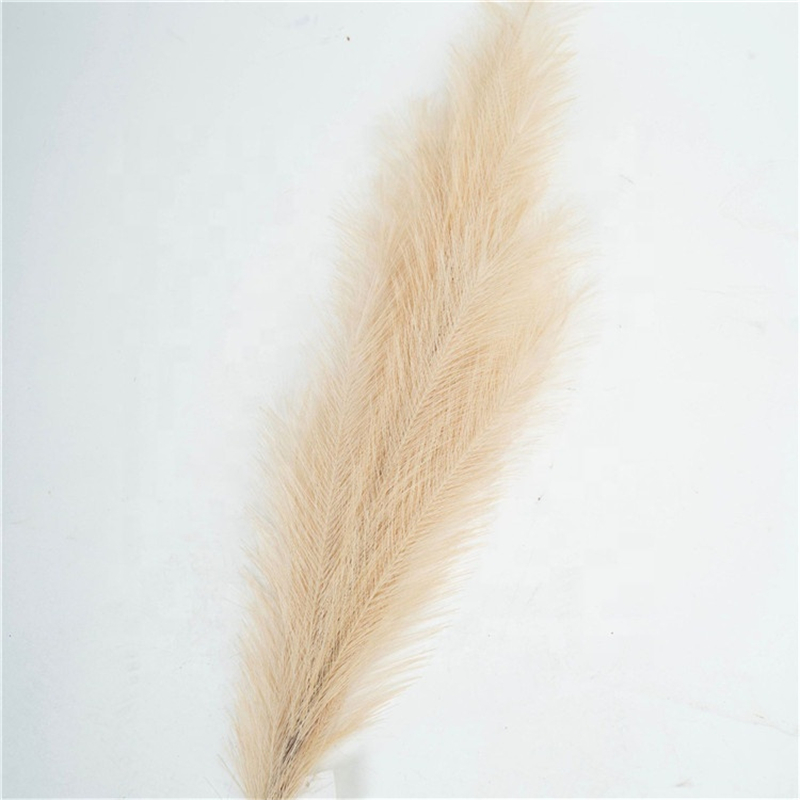 Customized Large Artificial Pampas Grass Artifical Plants Supplier